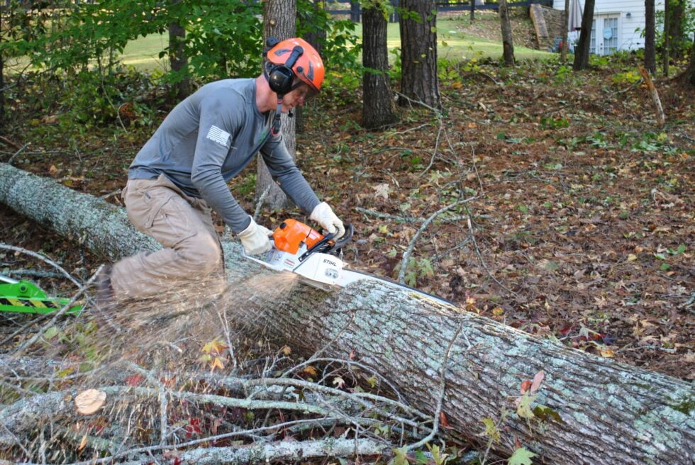 Emergency Tree Removal Services | Trinity Tree Service