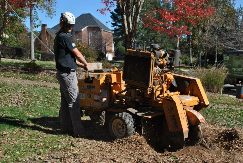 Stump Removal | Trinity Tree Service